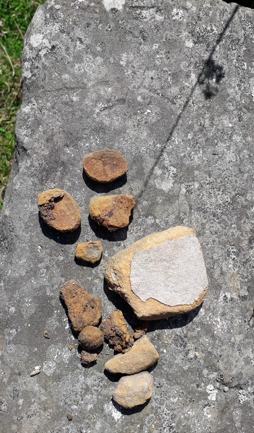 Yellow Stone Blue Sheep – scribblah