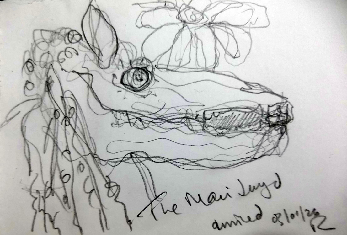 The First Of The New Year – scribblah